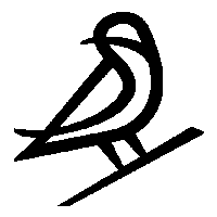 Silverbird - The salon of the future